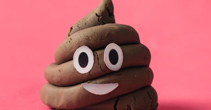 12 Types Of Poop You Should Never Ignore - Pulptastic