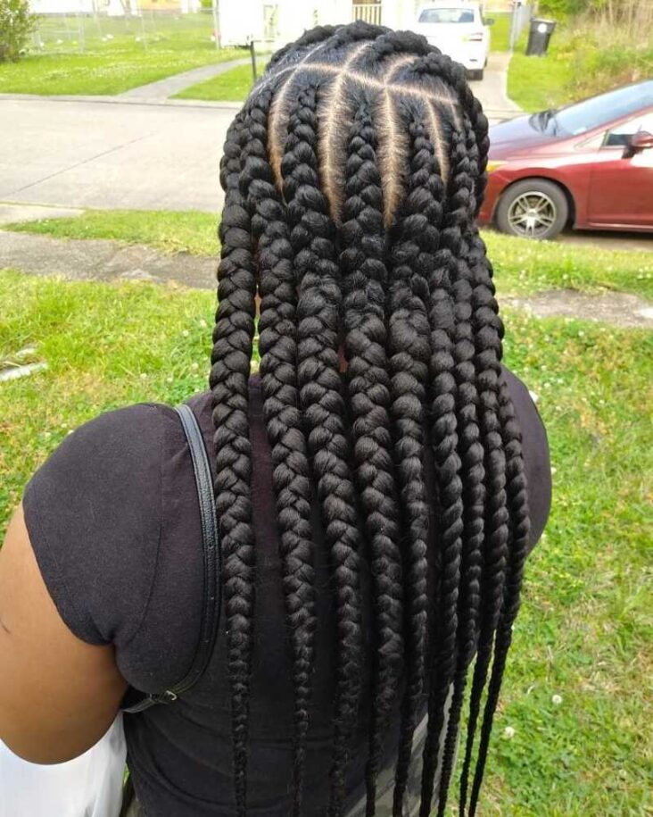 35 Stunning Tribal Braids Hairstyles For 2022 Pulptastic