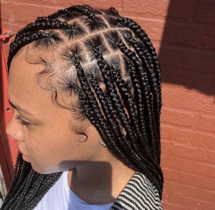 35 Stunning Tribal Braids Hairstyles For 2022 Pulptastic